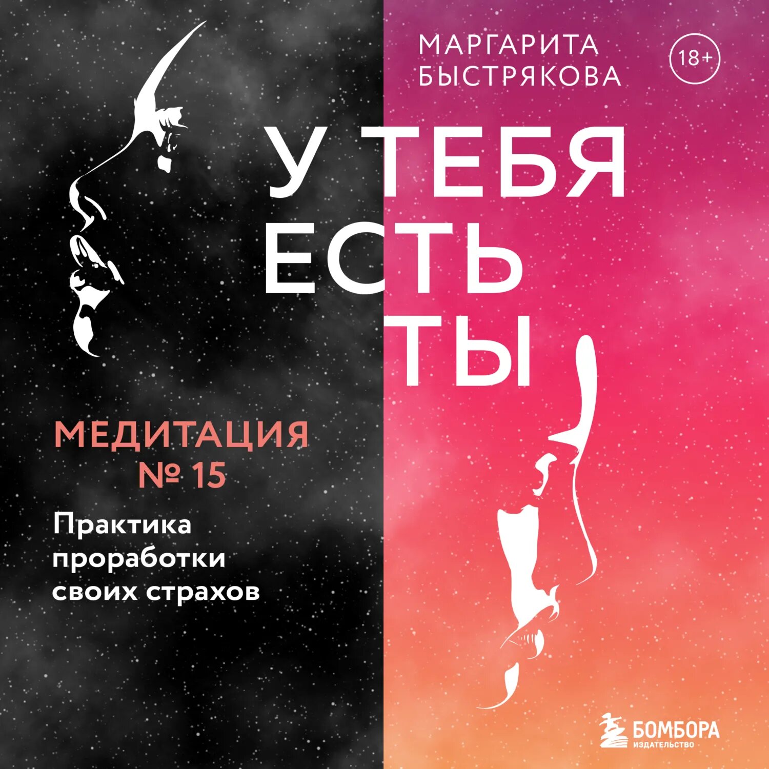 У тебя есть ты. Медитация 15. Практика проработки своих страхов [Аудиокнига]