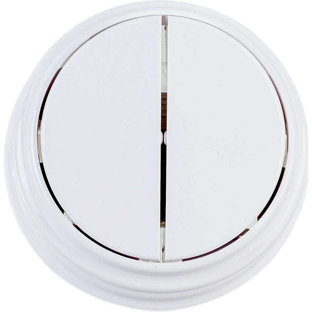 2-клавишный выключатель Bylectrica А510-2202 10А открытой установки, серия ретро, белый, А510-2202