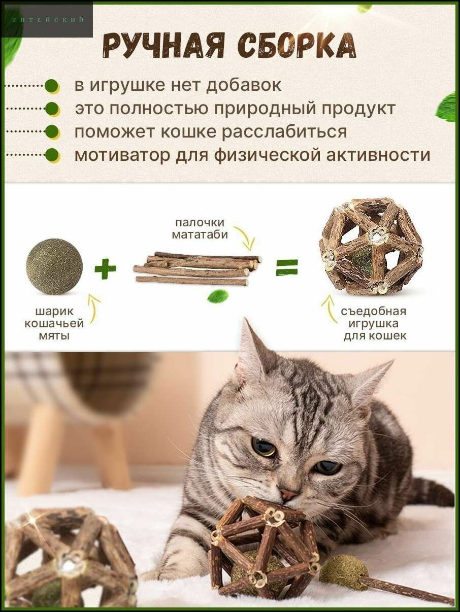 Matatabi Мяч из кошачьей мяты для котят, игрушка чистки зубов кошек-HD-CJ1215