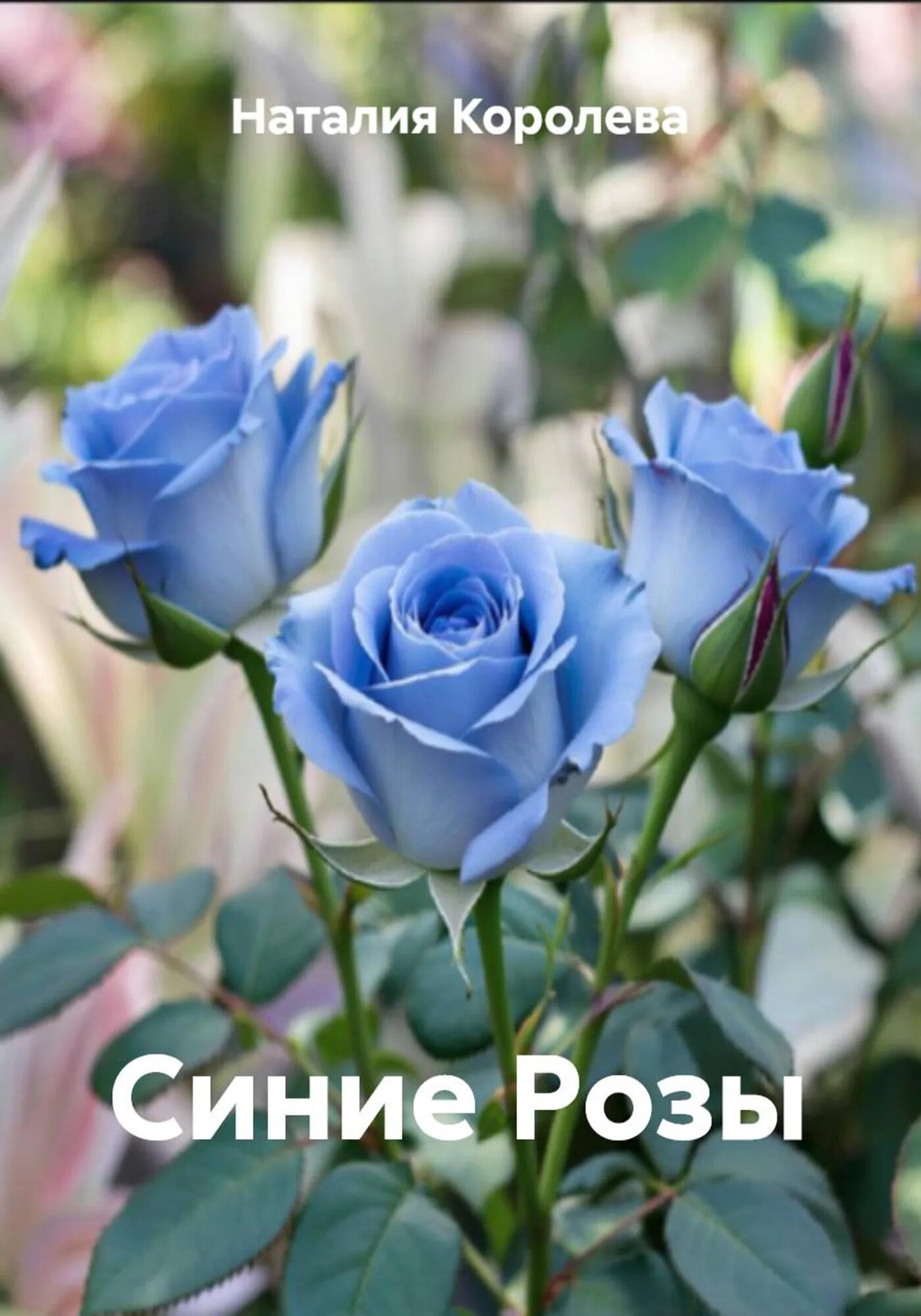 Синие Розы [Цифровая книга]