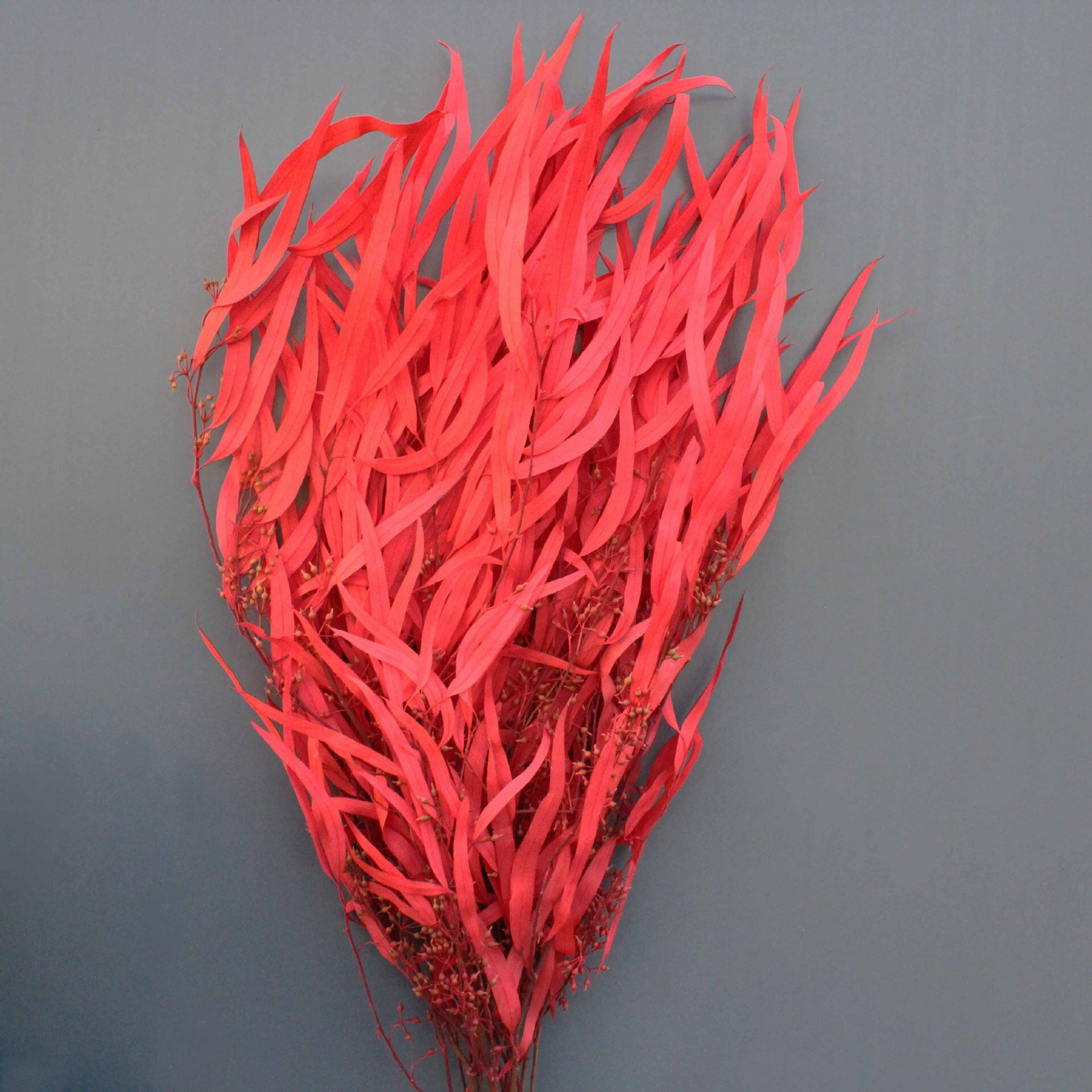 Вечный цветок Xiaomi, фруктовый лист, лист ивы, лист эвкалипта, медная монета, лист эвкалипта, домашний декор, производитель из Юньнани, оптовая продажа