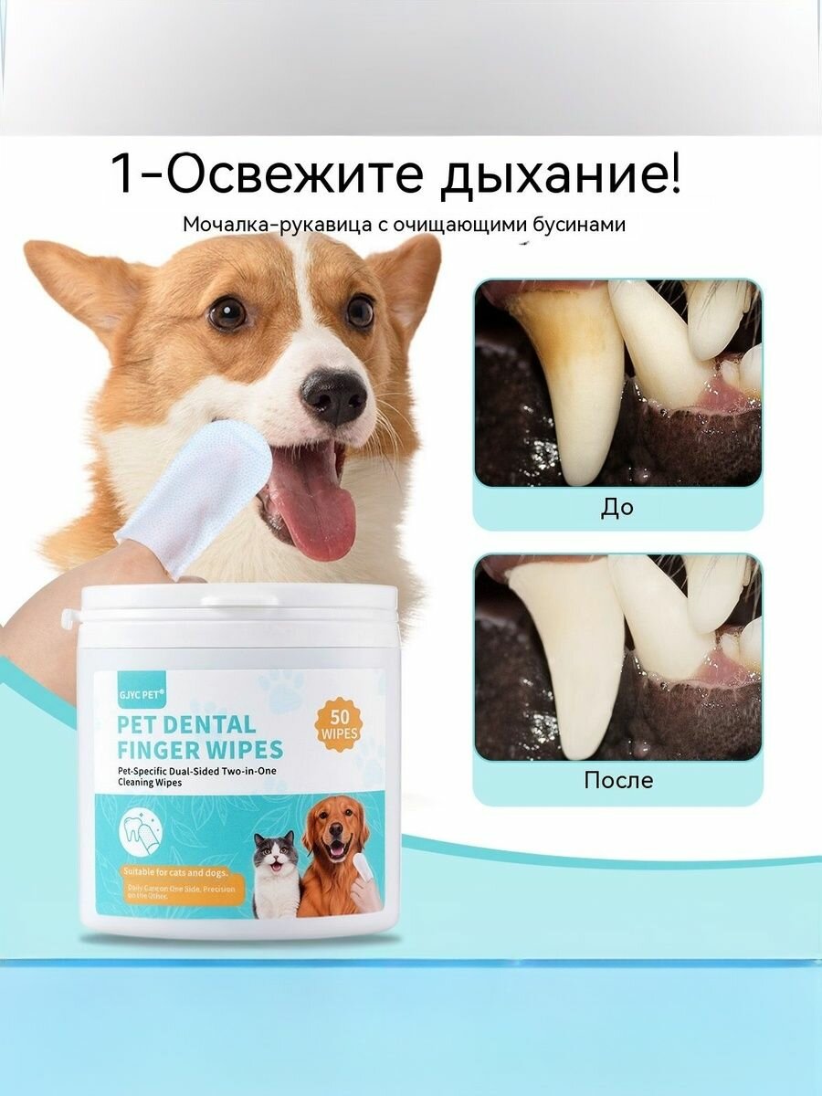 Набор для чистки зубов "Скалер", удаляет зубной налет и камень, для собак и кошек, белый/синий