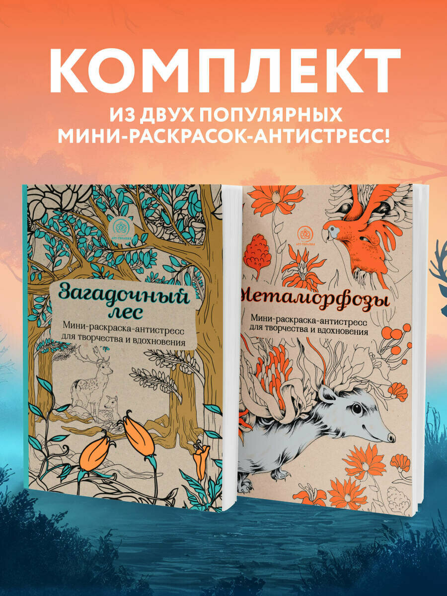 Комплект из 2 мини-раскрасок-антистресс Метаморфозы и Загадочный лес