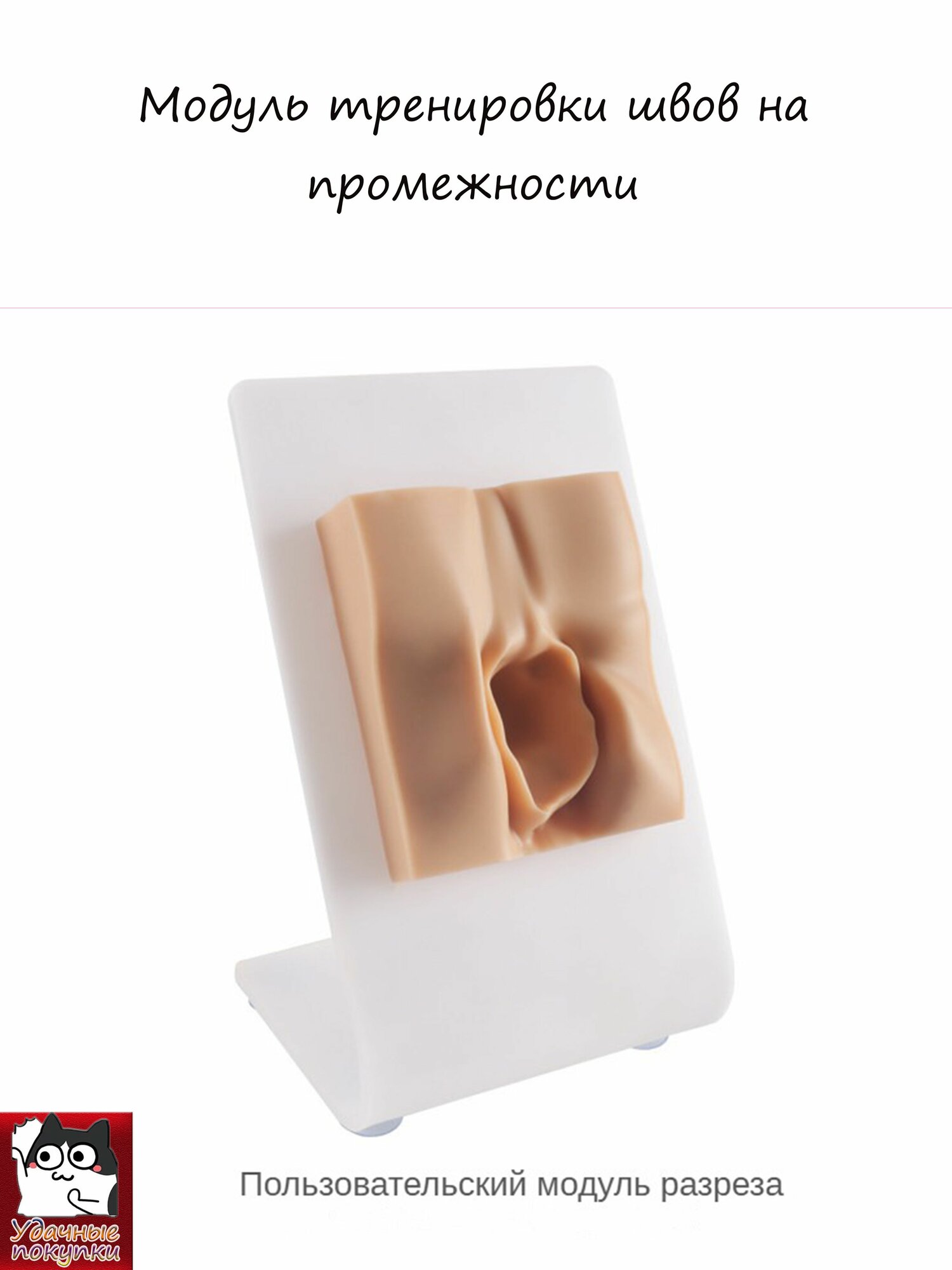 Модуль тренировки швов на промежности Модель обучения