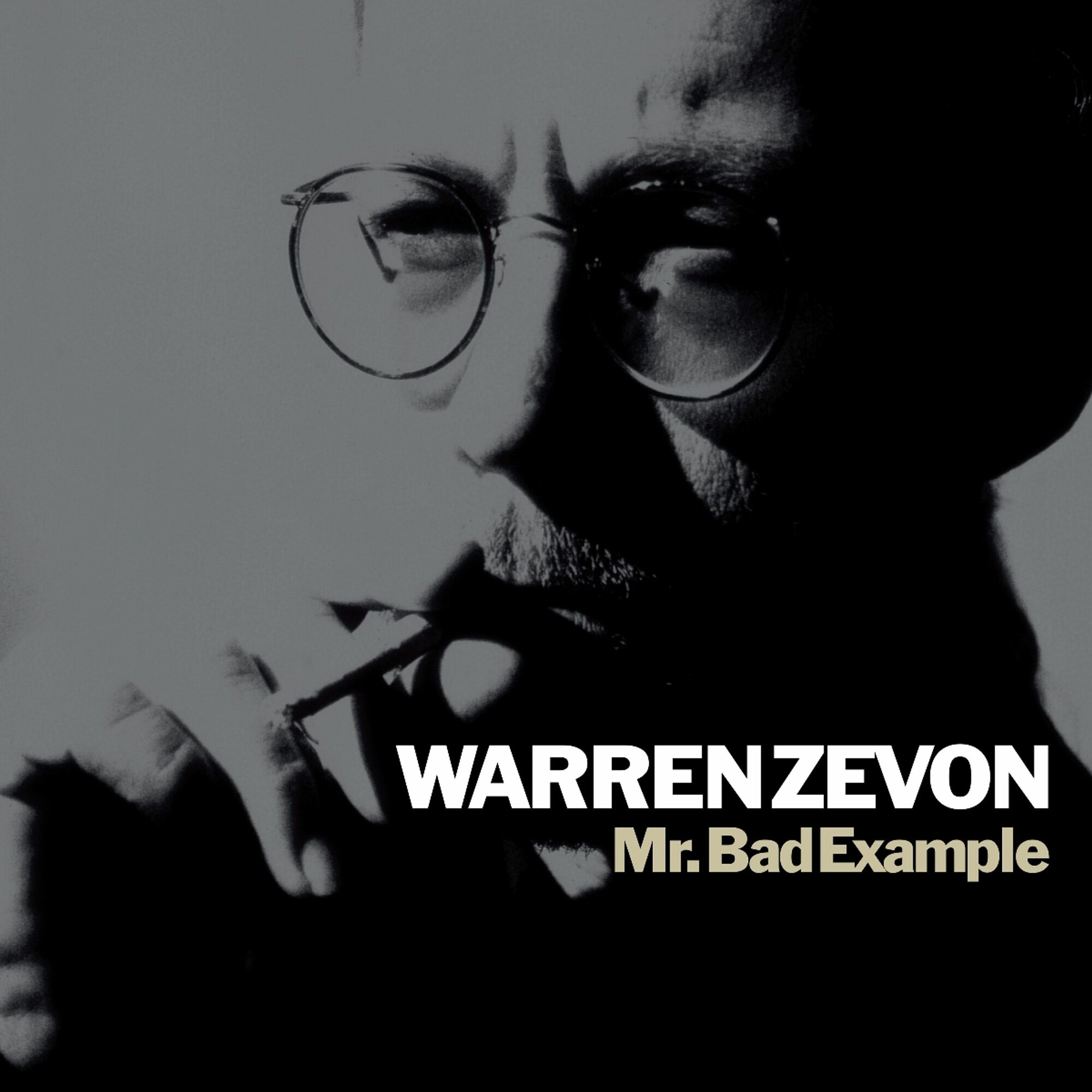Виниловая пластинка Warren Zevon - Mr. Bad Example (1 LP)