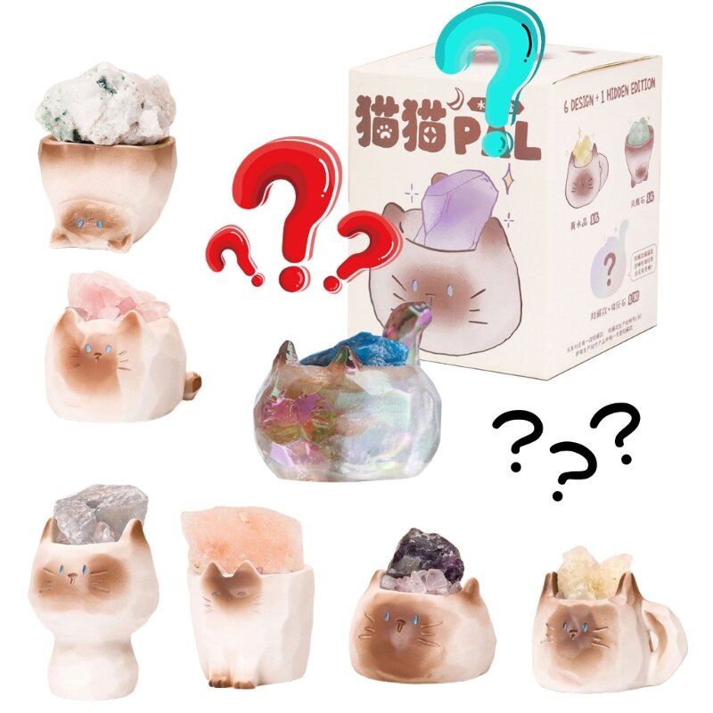 Collectible Mystery Cats Miniature Statue Resins Art Decors Blind Boxes Desktop Ornament Scented Diffuser For Adults Kids