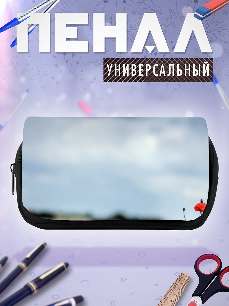 Школьный пенал сенокосное угодье поле