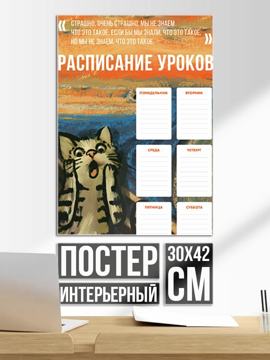 Постер на стену Крик котика мем Расписание уроков