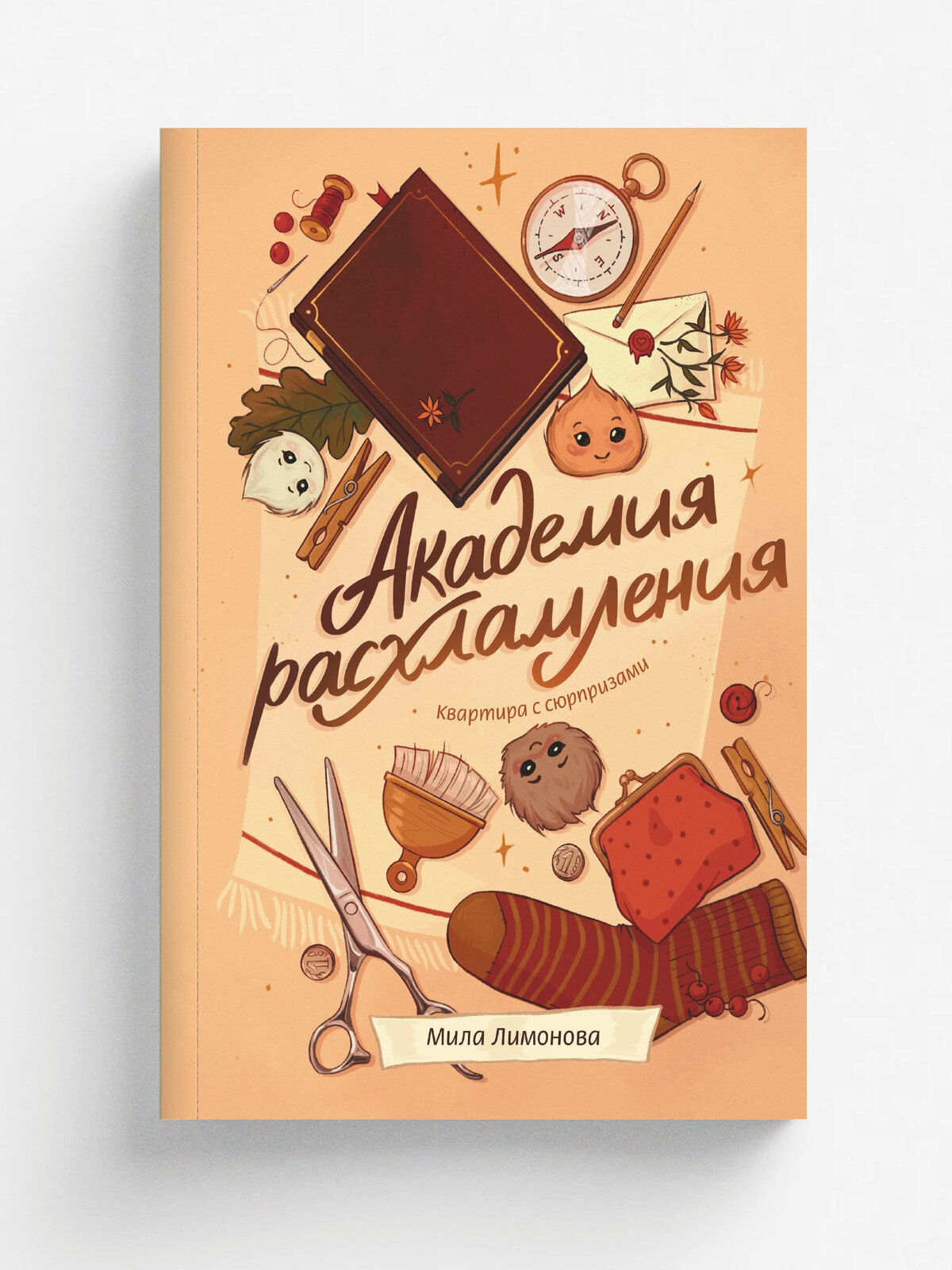 Академия расхламления