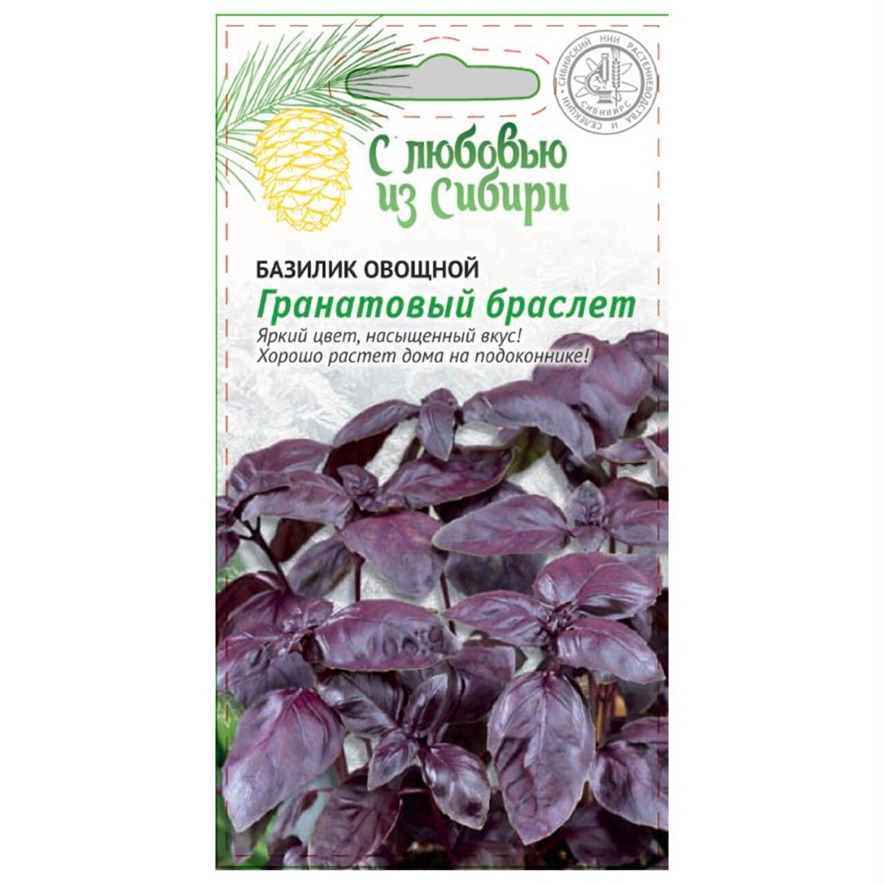 Семена базилик овощный Гранатовый браслет 0,5г, для дачи, сада, огорода и на рассаду