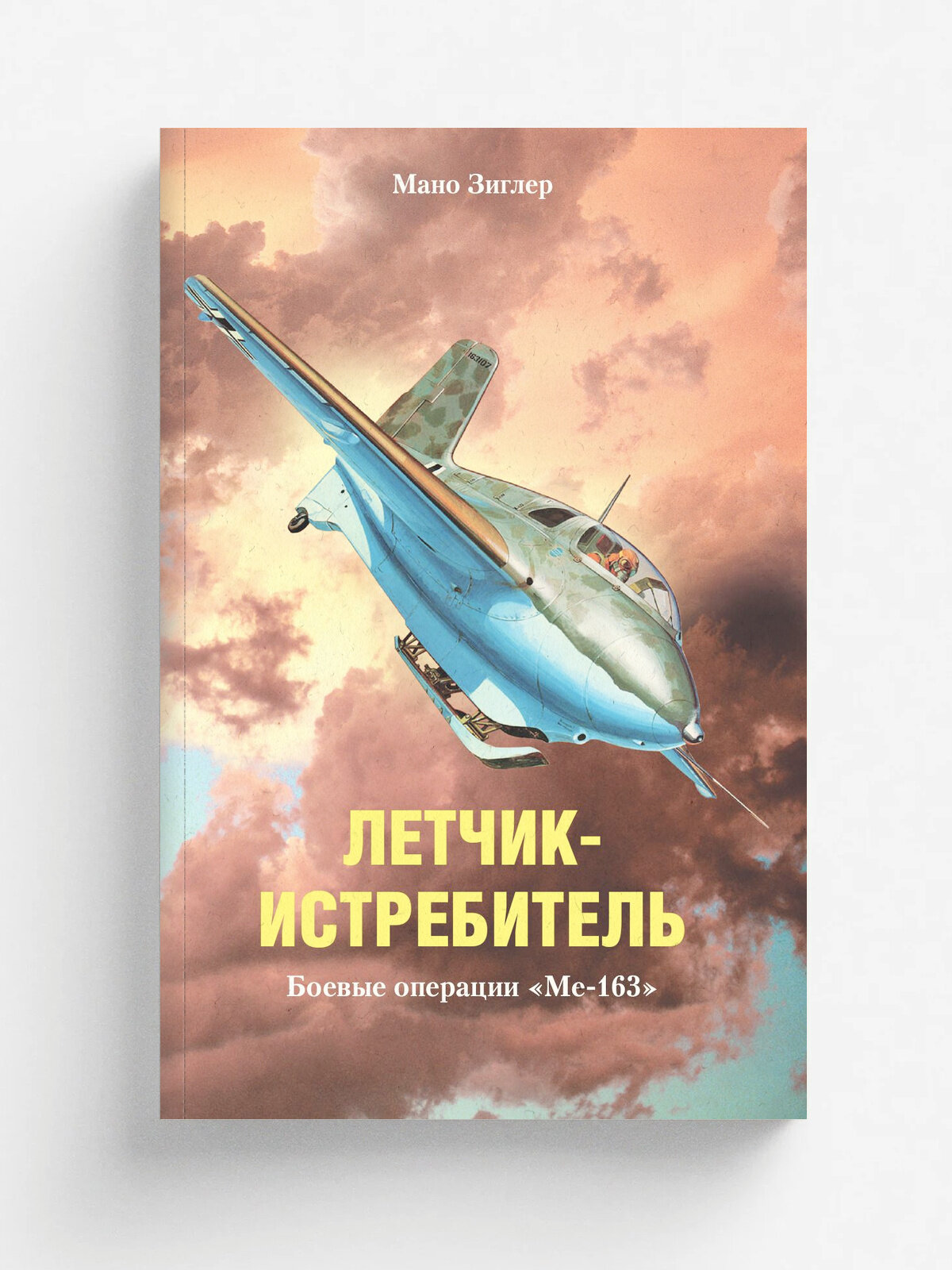 Летчик истребитель