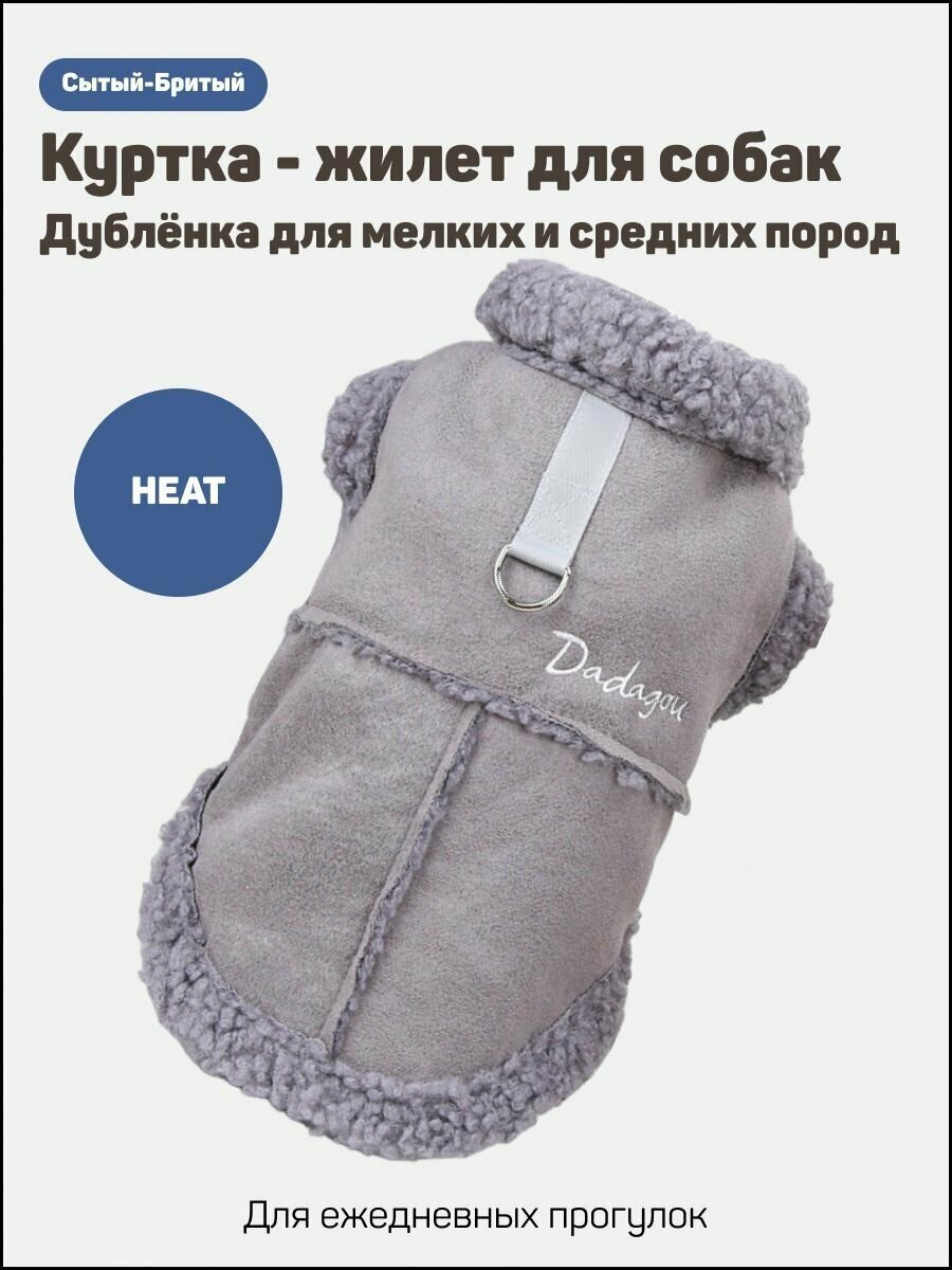 Одежда для животных