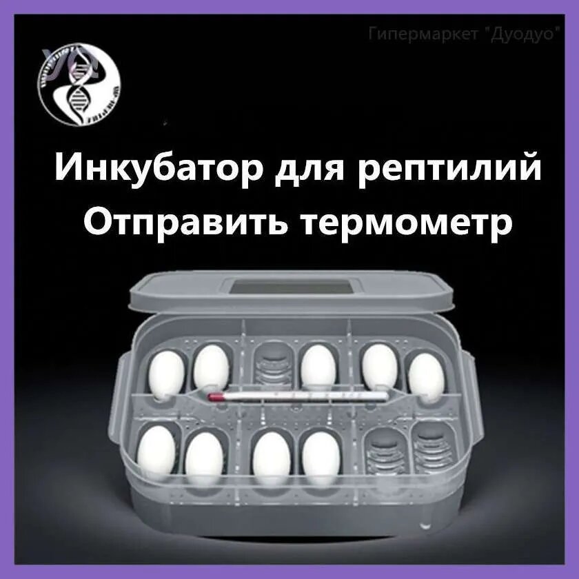 Инкубатор для рептилий 170х110х55 мм 1 шт