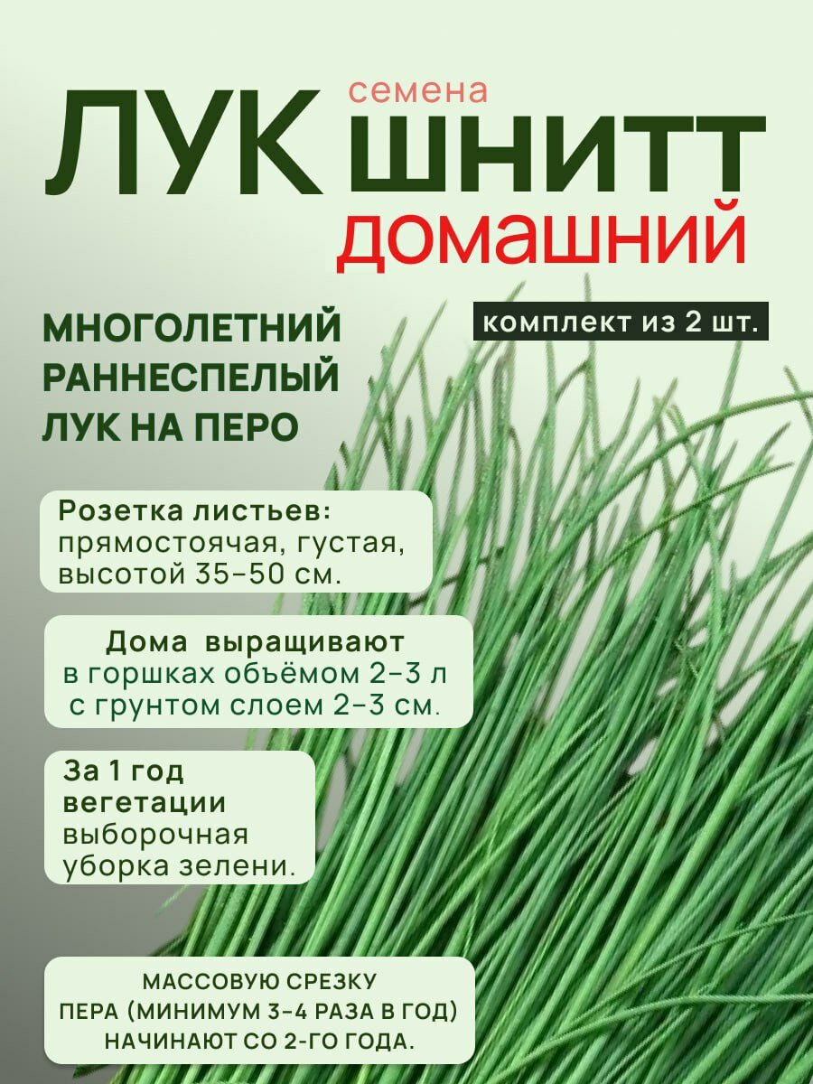Семена лука аэлита "Домашний", многолетние, для срезки и заморозки, 2 пачки