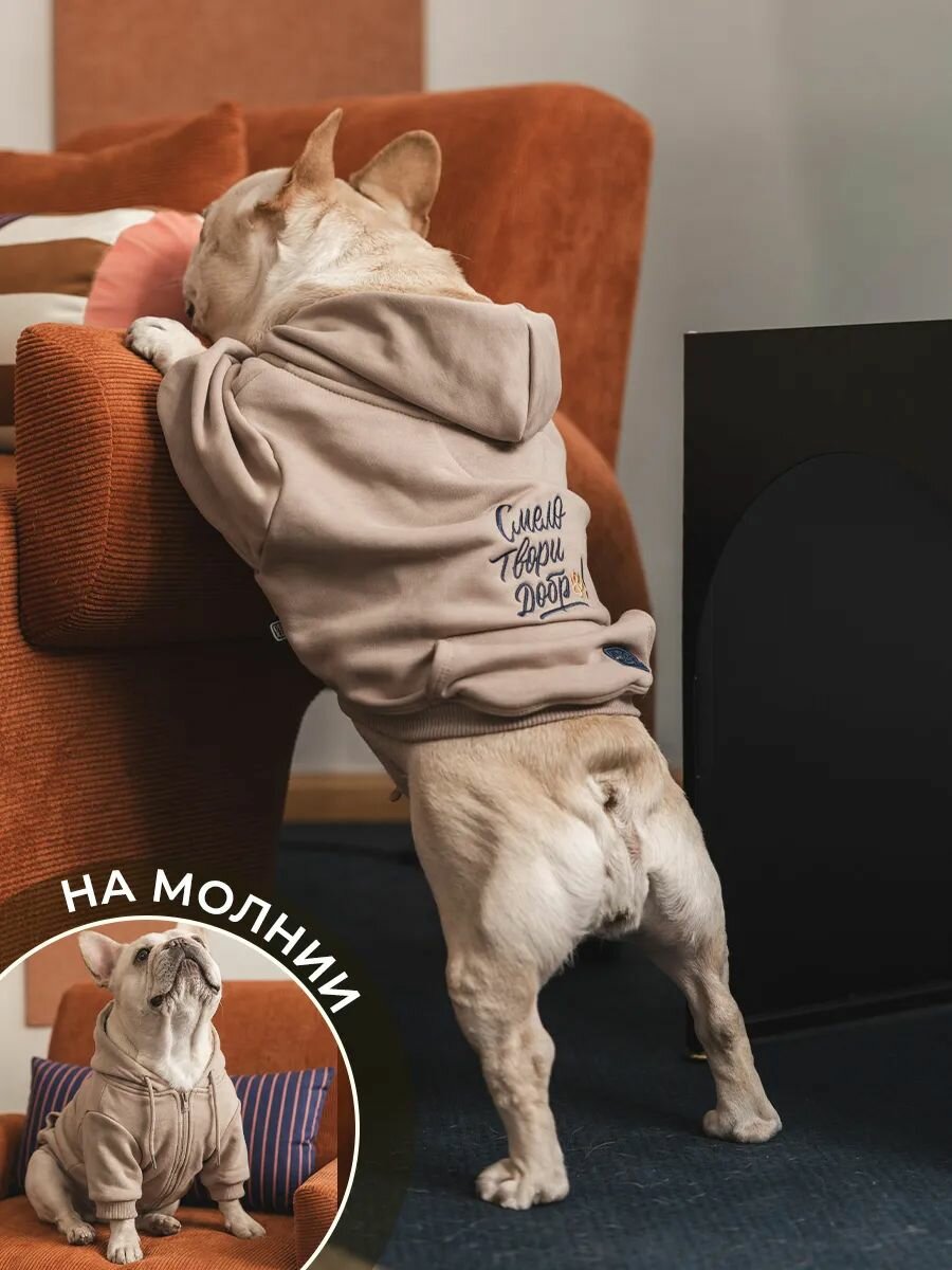 Кофта для собак с молнией (французский бульдог)