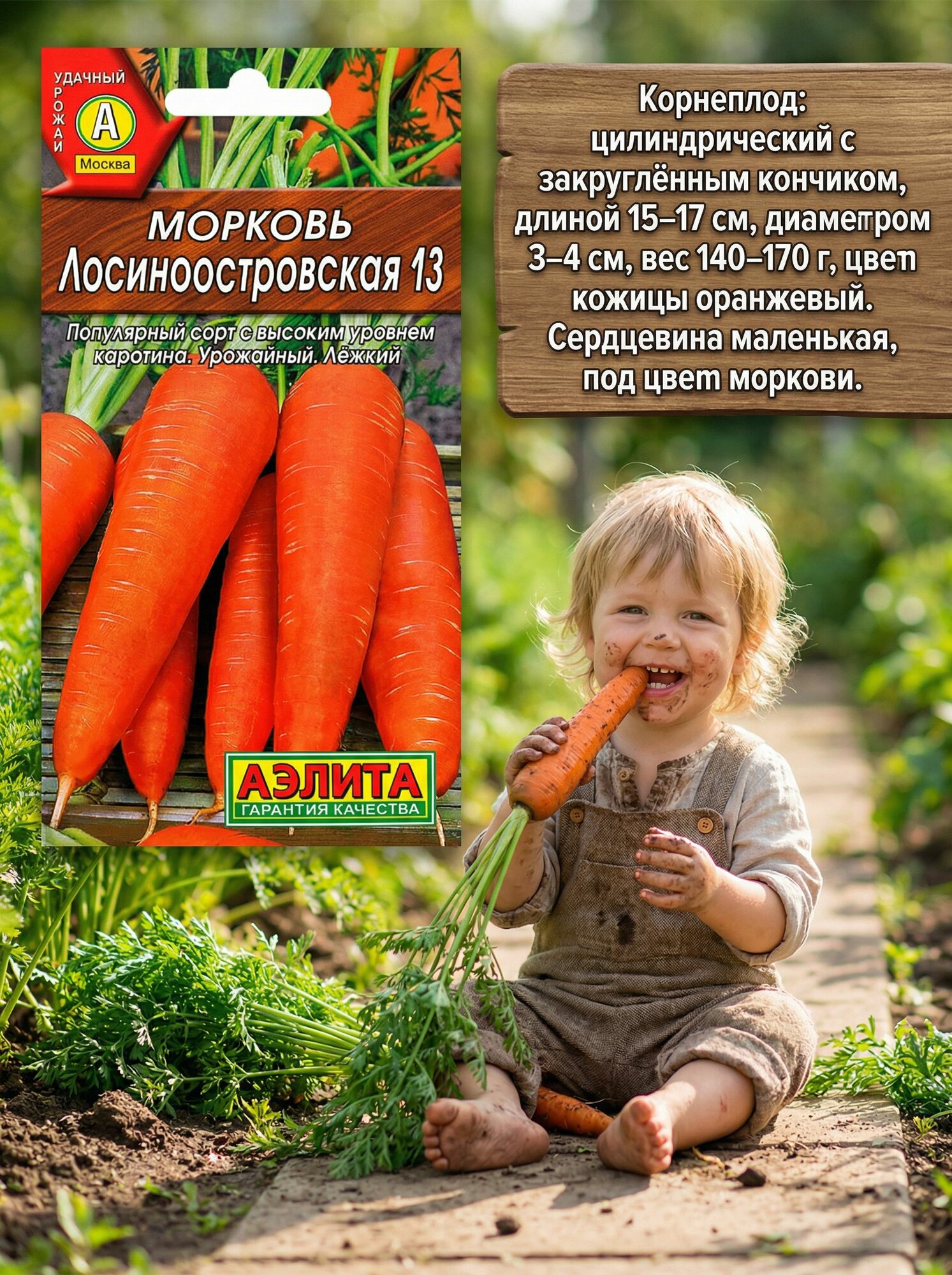 Семена морковки Лосиноостровской