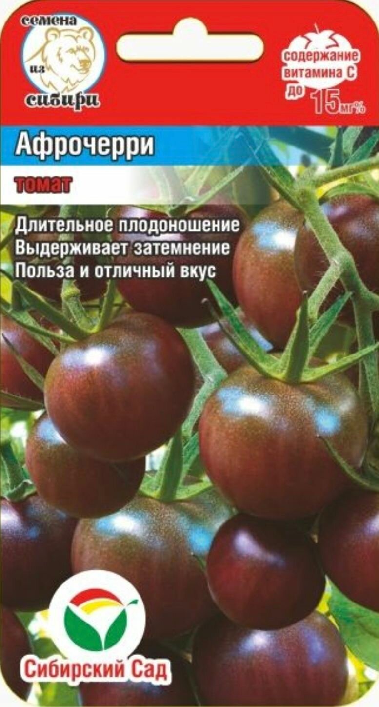 Томат Афрочерри (20 семян) ранний коктейльный сорт с интересными черри- плодами темно-вишневого цвета