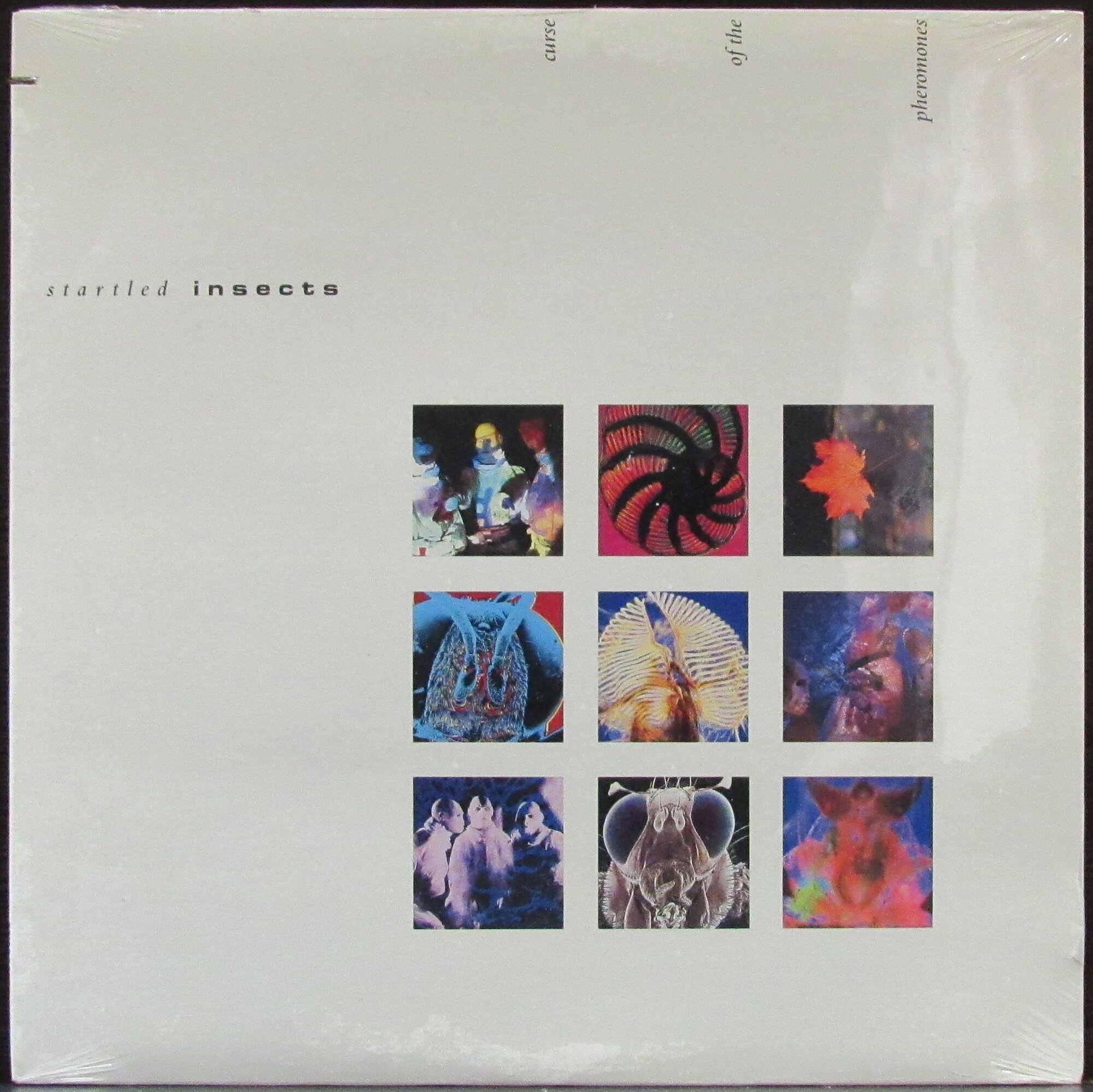 Startled Insects "Виниловая пластинка Startled Insects Curse Of The Pheromones"
