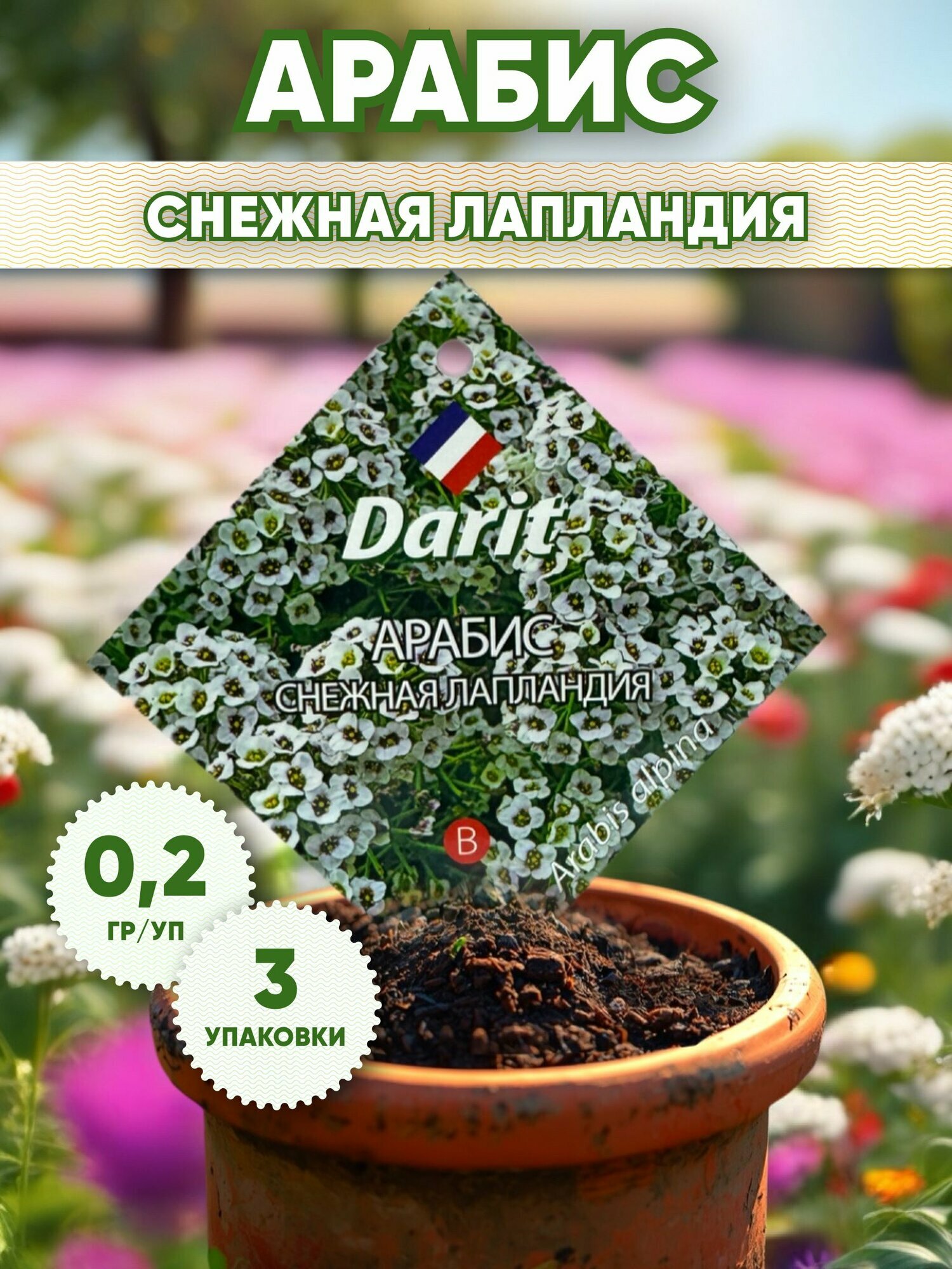 Семена Арабис Снежная Лапландия 0,2г/1уп, 3 упаковки