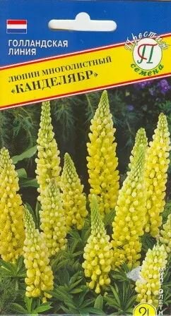 Люпин Канделябр 15 шт, Семена Престиж