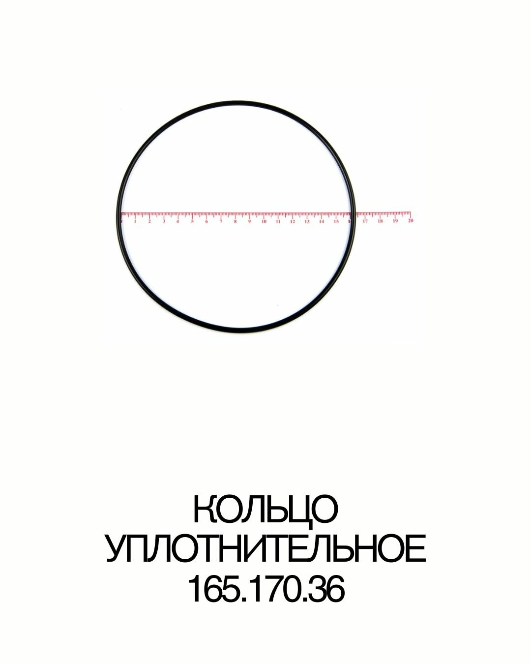 Уплотнительное кольцо для насоса Джамбо 70/50 Н