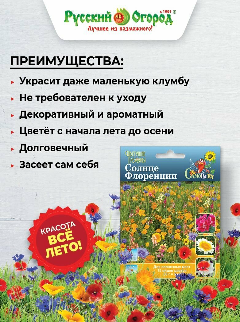 Газон Солнце Флоренции, Русский Огород, семена — фото 1