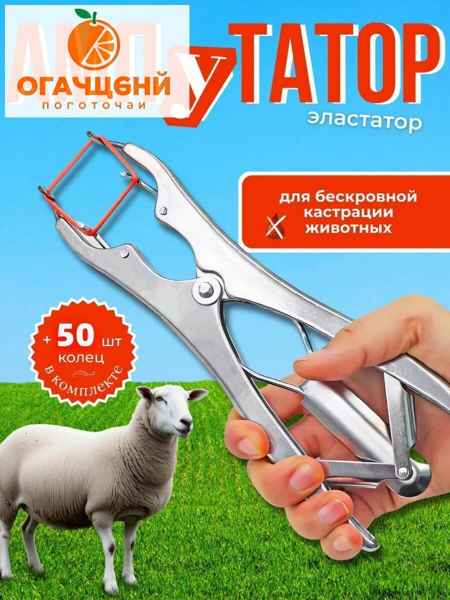 Эластратор для кастрации ягнят, овец, козлят и др. животных (щипцы кастрационные, ручки и подвижные элементы из металла) + 50 резинок