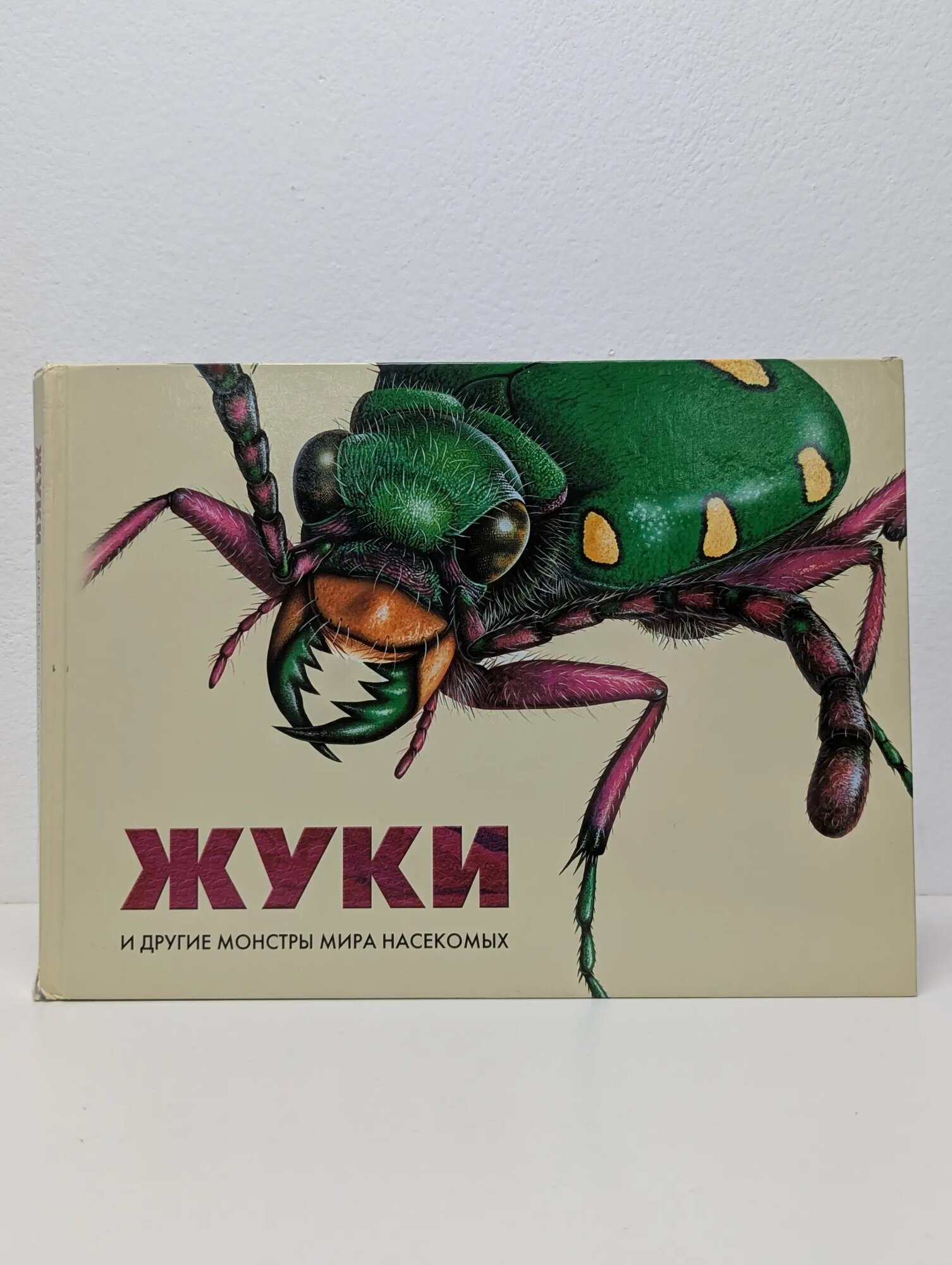 Жуки и другие монстры мира насекомых Сьюзан Барраклаух 2011