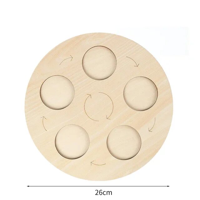 Набор моделей жизненного цикла животных и растений для детей Lattice disc 1PCS-B