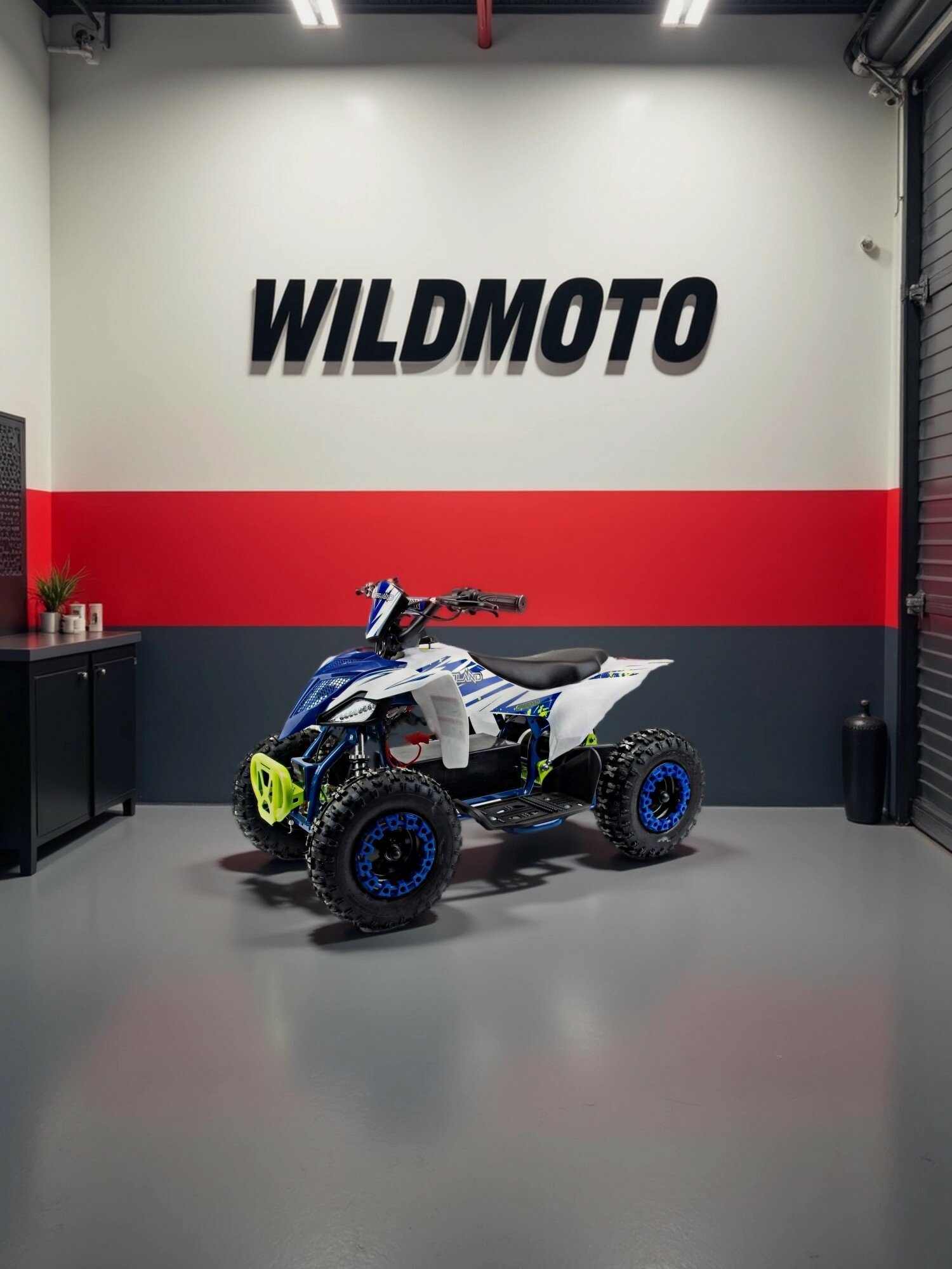 Квадроцикл электрический MotoLand E010 ATV, для детей от 3 лет,1000Вт