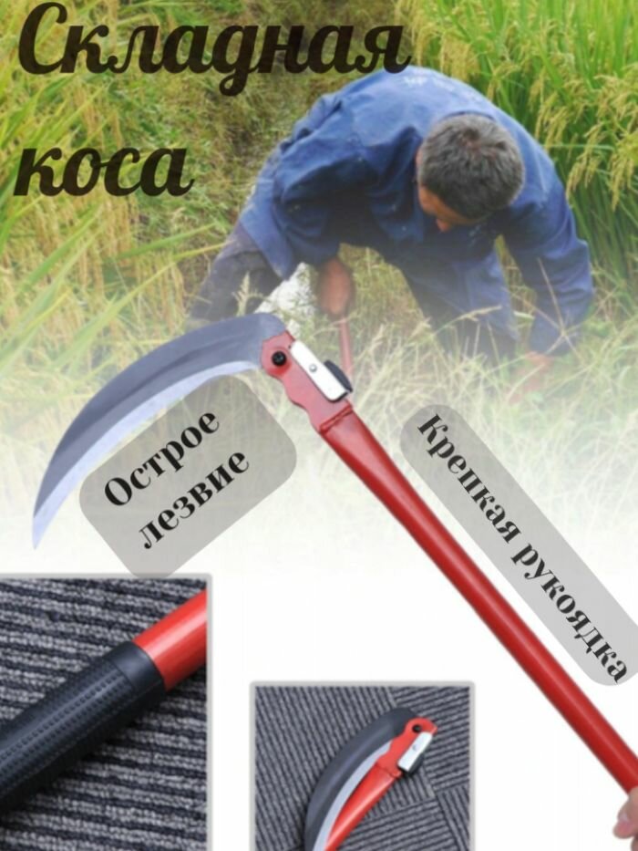 Коса