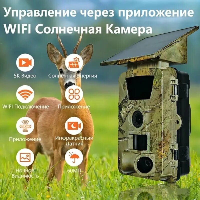 Фотоловушка — фото 1