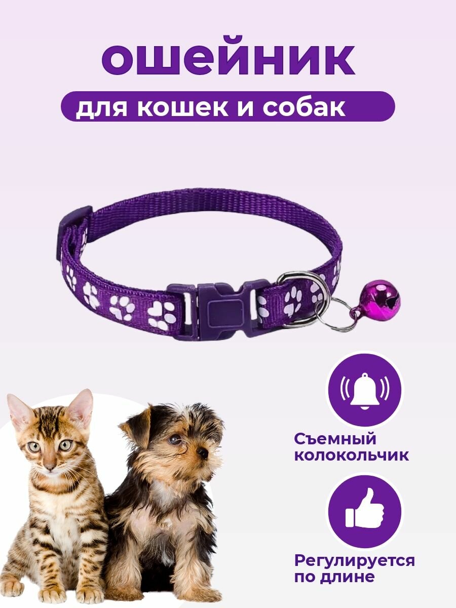 Ошейник для кошек и собак, нейлон, с колокольчиком, фиолетово-белый