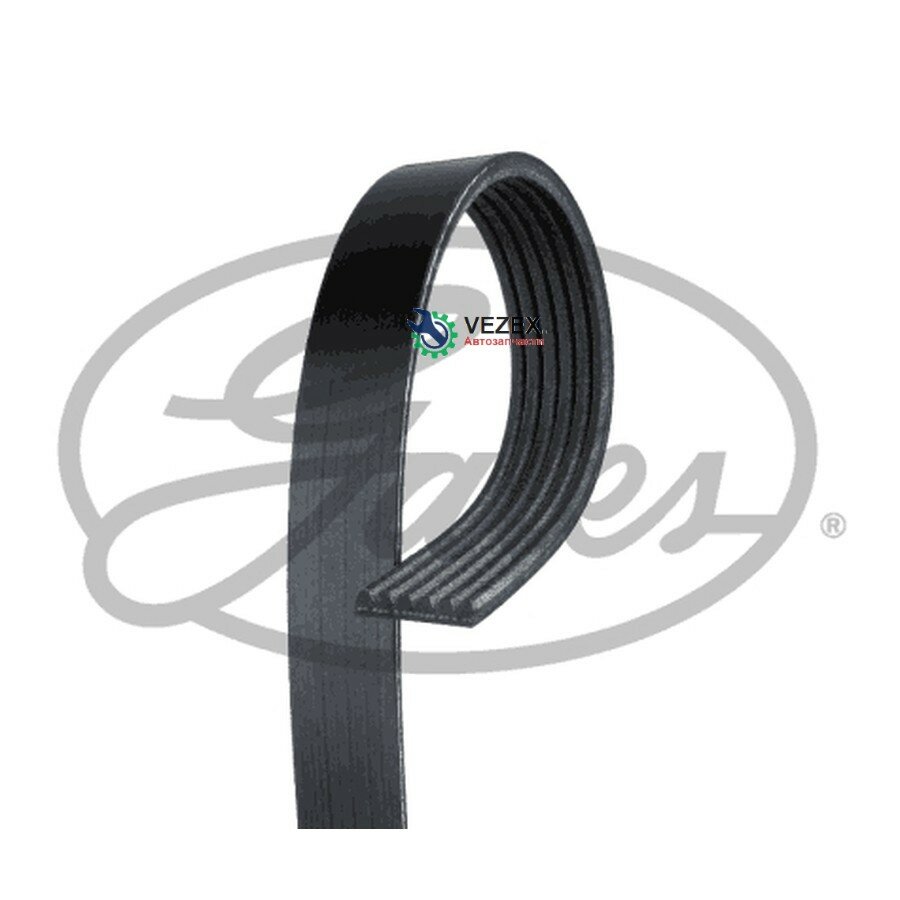GATES 6PK2490 ремень поликлиновой!\ Audi Q7 3.0TDi V6 BUG/BUN 06>