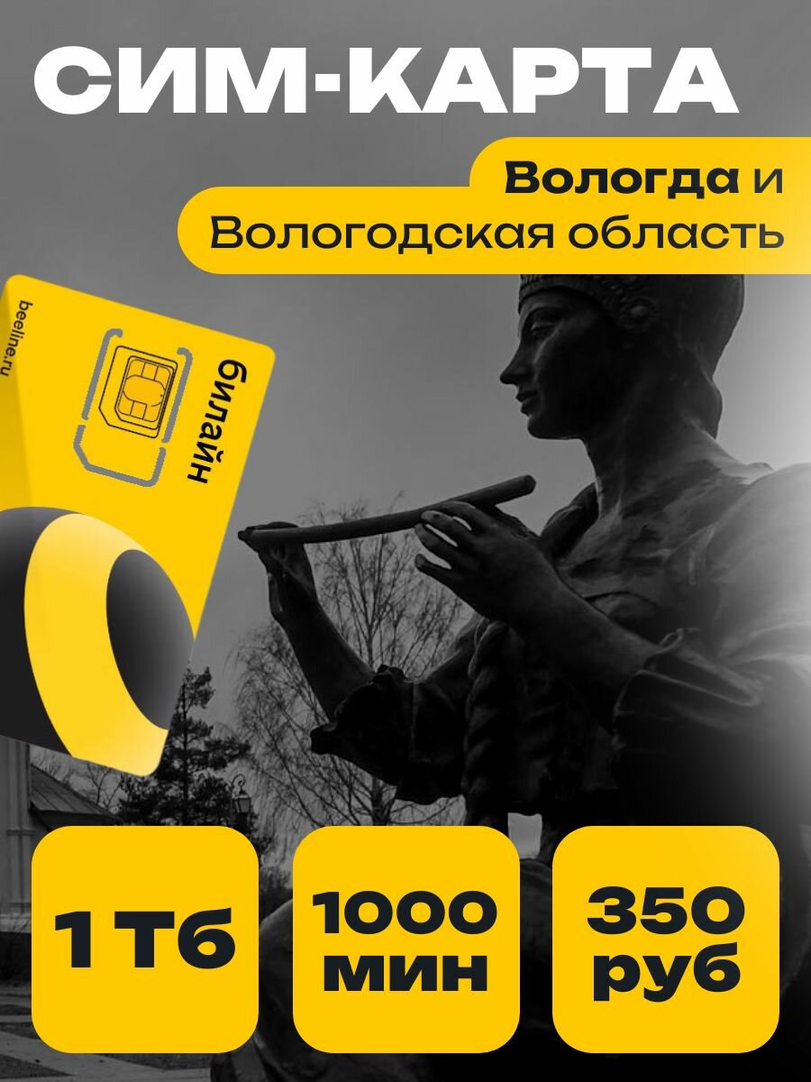 Сим-карта Билайн тариф Эксклюзивный Плюс Вологодская область 1000 Гб + 1000 минут за 350 руб.