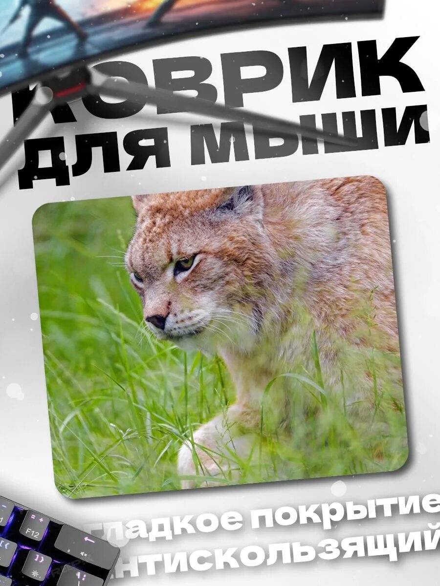 Коврик для мыши Рысь в траве