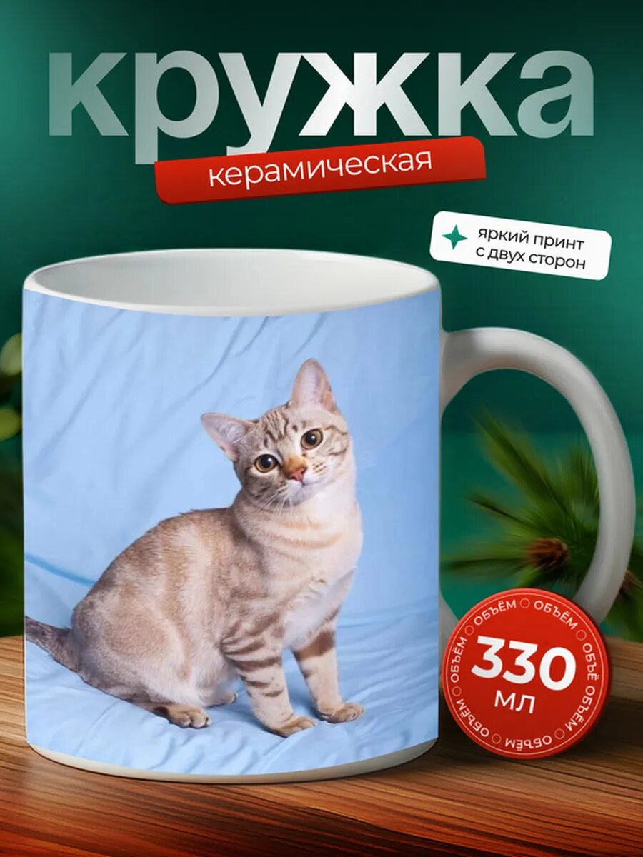 Кружка Австралийская дымчатая кошка,