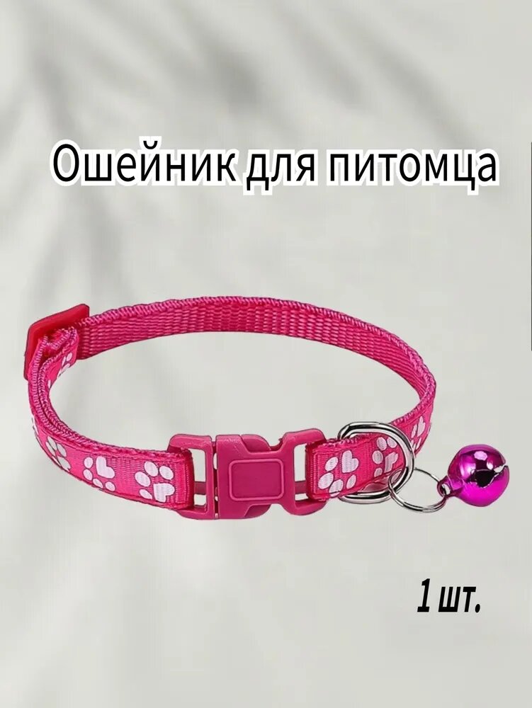 Ошейник