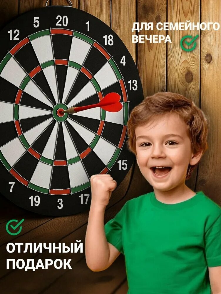 Набор для игры в дартс — фото 1