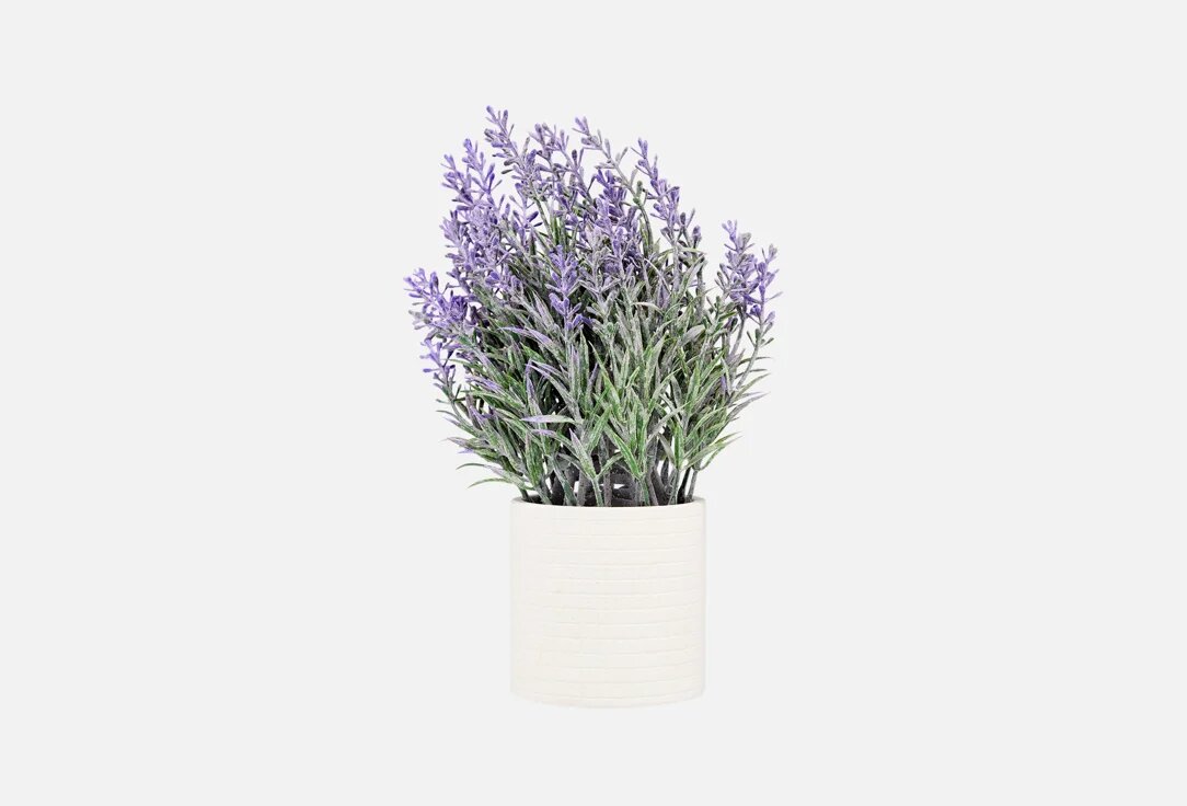 Topgift Лаванда, 8x8x25 см Искусственные цветы в кашпо 1 шт
