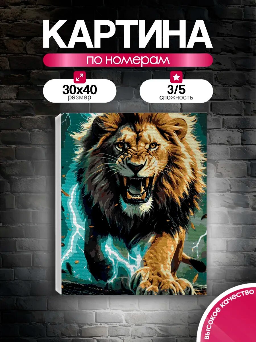 Картина по номерам 30x40 Сила молнии