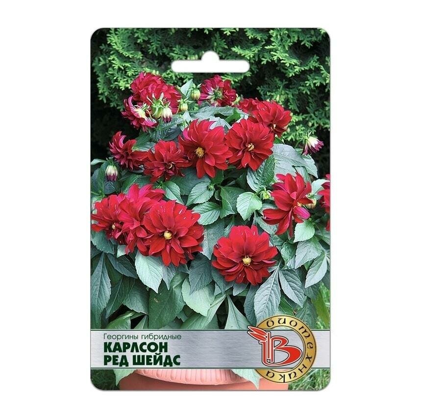 Семена Георгины гибридные Карлсон Ред Шейдс АГ Биотехника