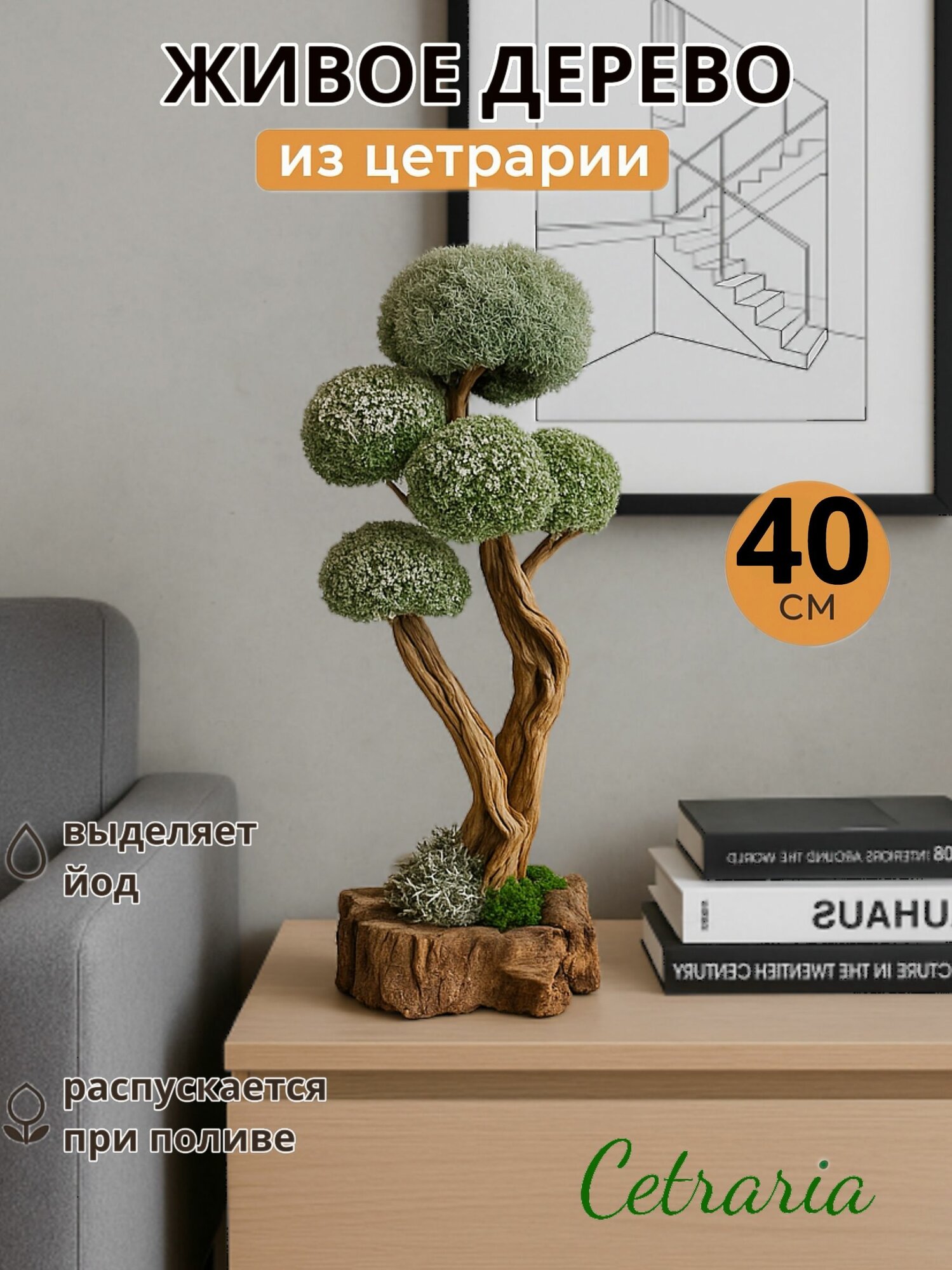 Дерево из мха Цетрарии интерьерное украшение настольное