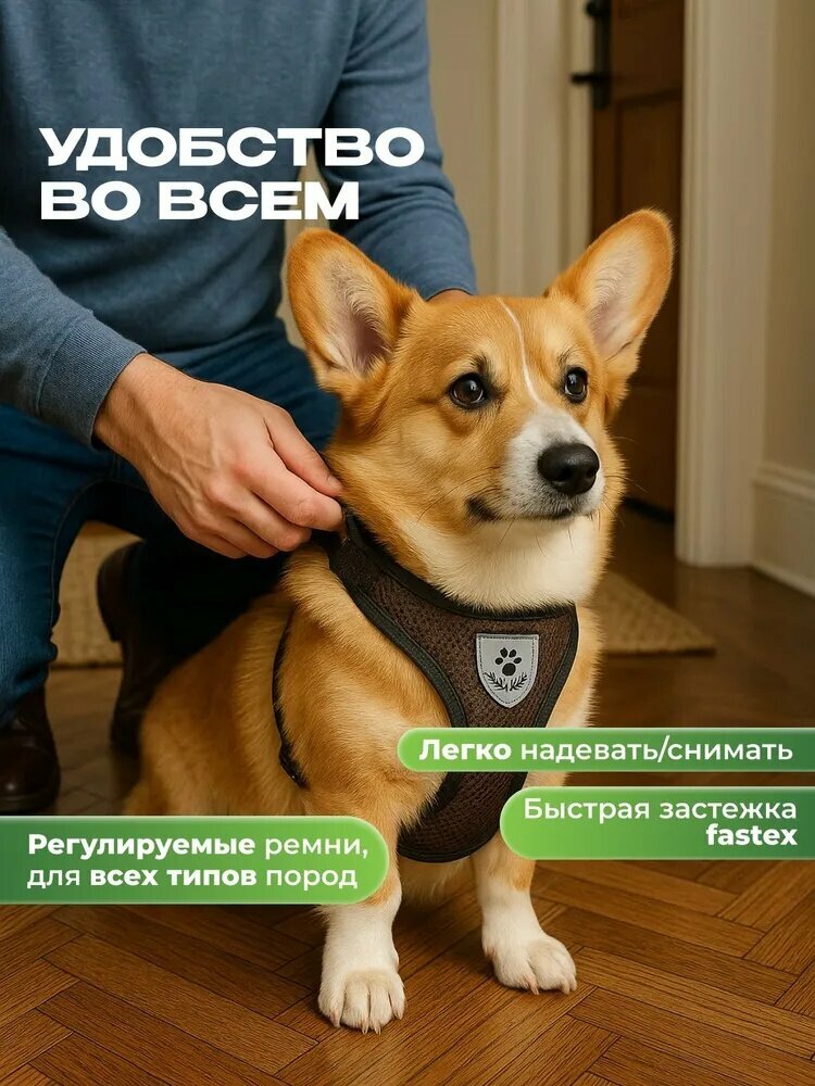 Шлейка с поводком "Маленькая собака", для собак и кошек, черная, 1 шт