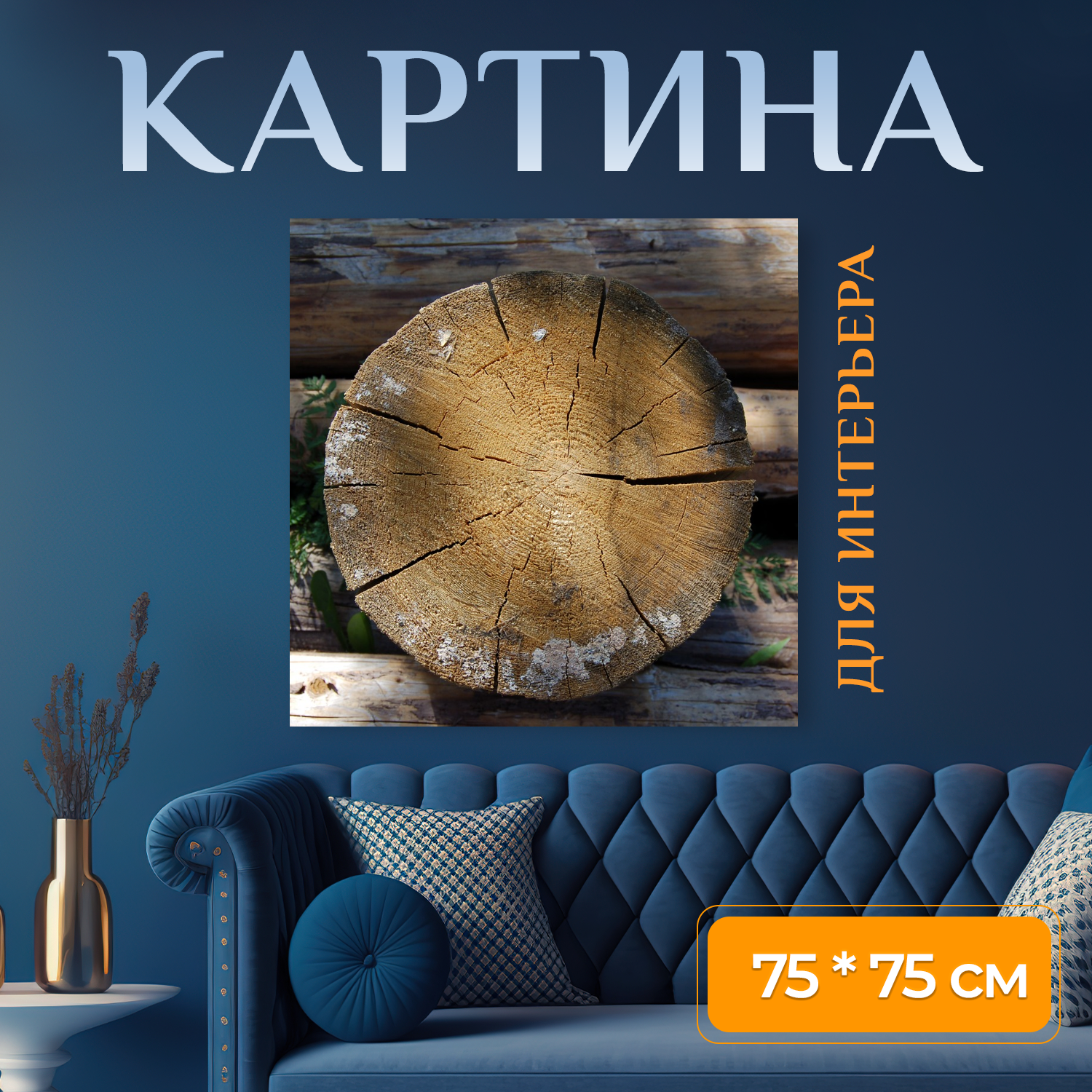 Картина на холсте "Спил, дерево, старое дерево" на подрамнике 75х75 см. для интерьера