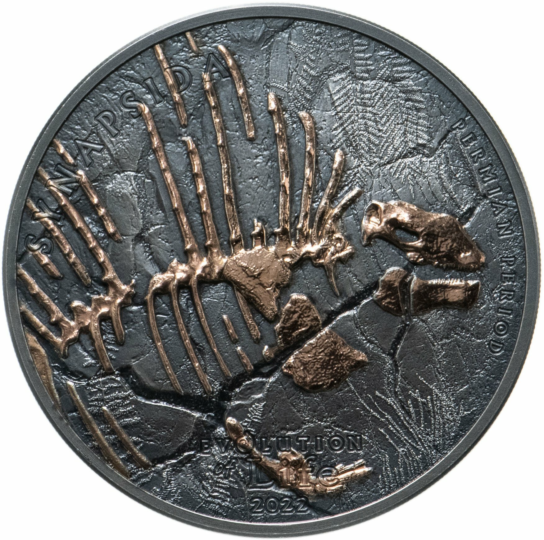 Монголия 500 тугриков 2022 "Эволюция Динозавры - Синапсида" в подарочном боксе с сертификатом, Серебро 999, в сохранности UNC