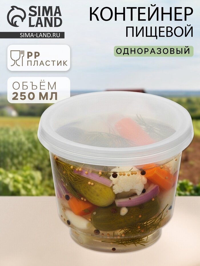 Контейнер для хранения "ПластоС" пищевой 250 мл, с герметичной крышкой, пластик