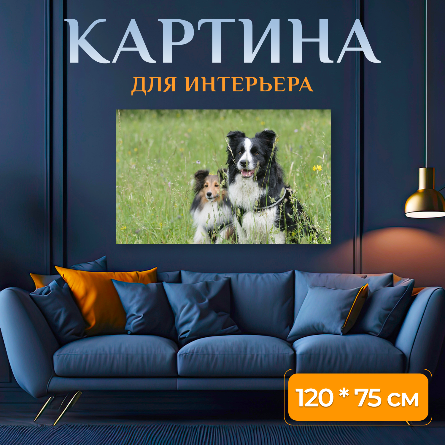 Картина на холсте "Бордер-колли, шелти, собака" на подрамнике 120х75 см. для интерьера