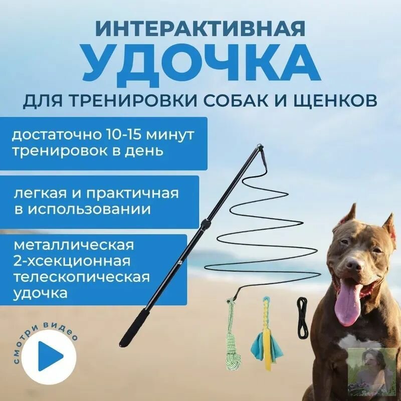 Игрушка для животных