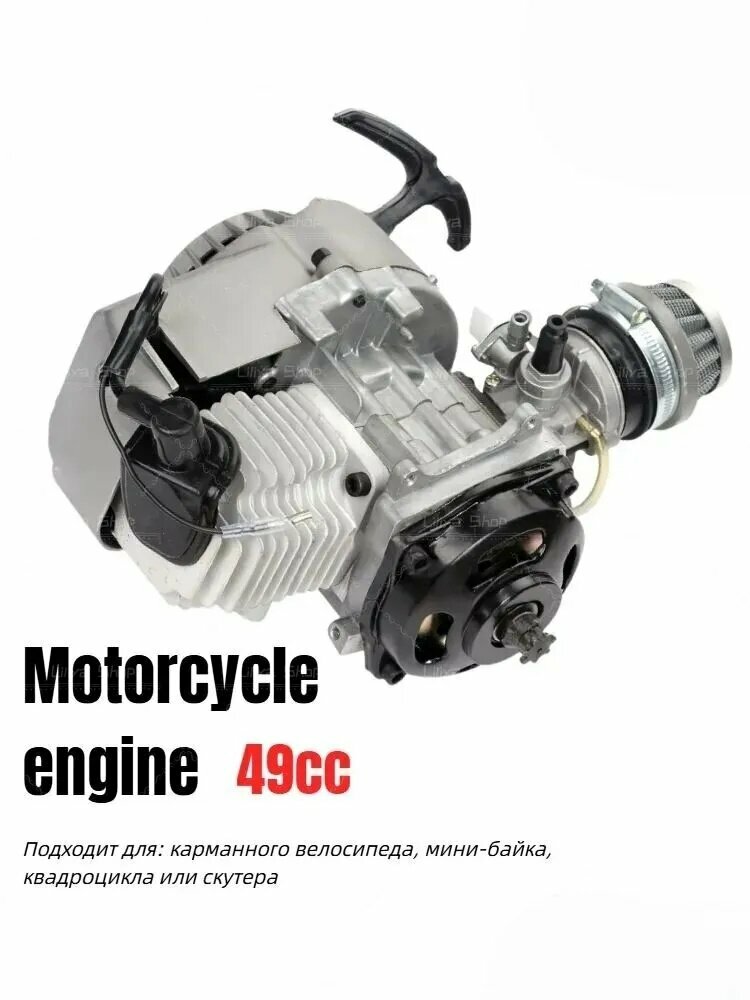 49cc Двигатель с ручным стартером 2-тактный мотор для мини-мото и квадроциклов (250x220мм)